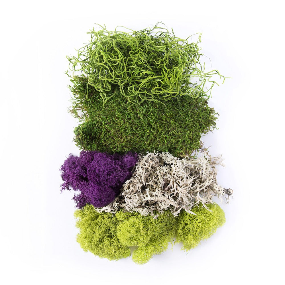 Moss Mix 2oz, 120 cu. in. – Springer Garden