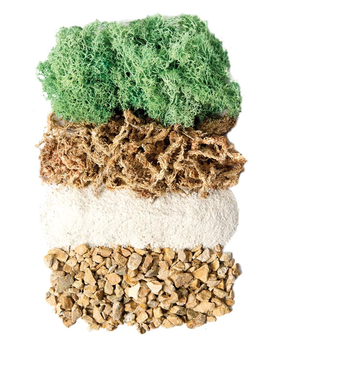 Terrarium Kit DIY Jar, Laguna, 32oz Mason Jar – Springer Garden